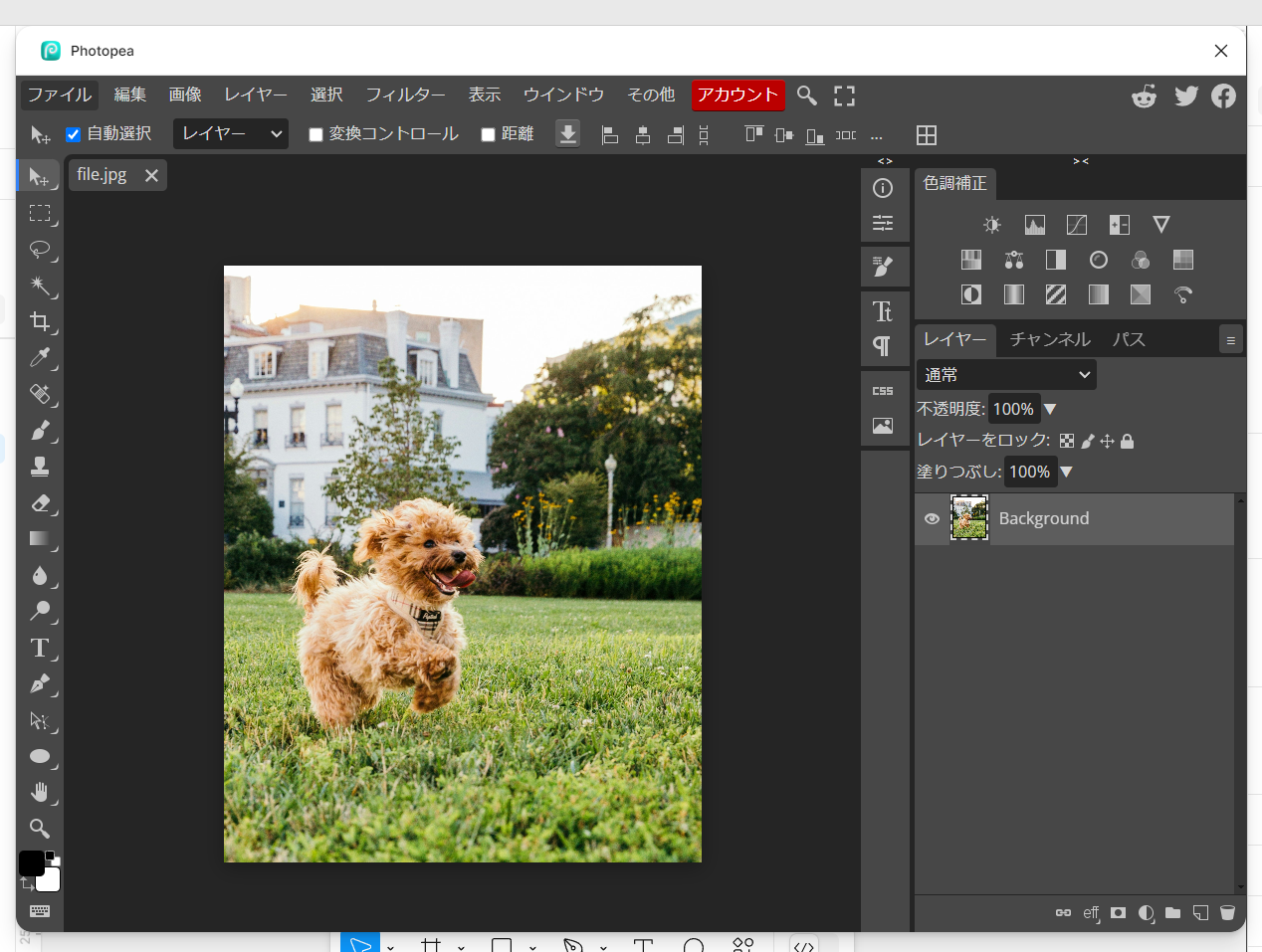 【便利】FigmaでPhotoshopのような画像加工ができる「Photopea」 | エムトラッドブログ｜コーポレートサイト・採用サイトの ...